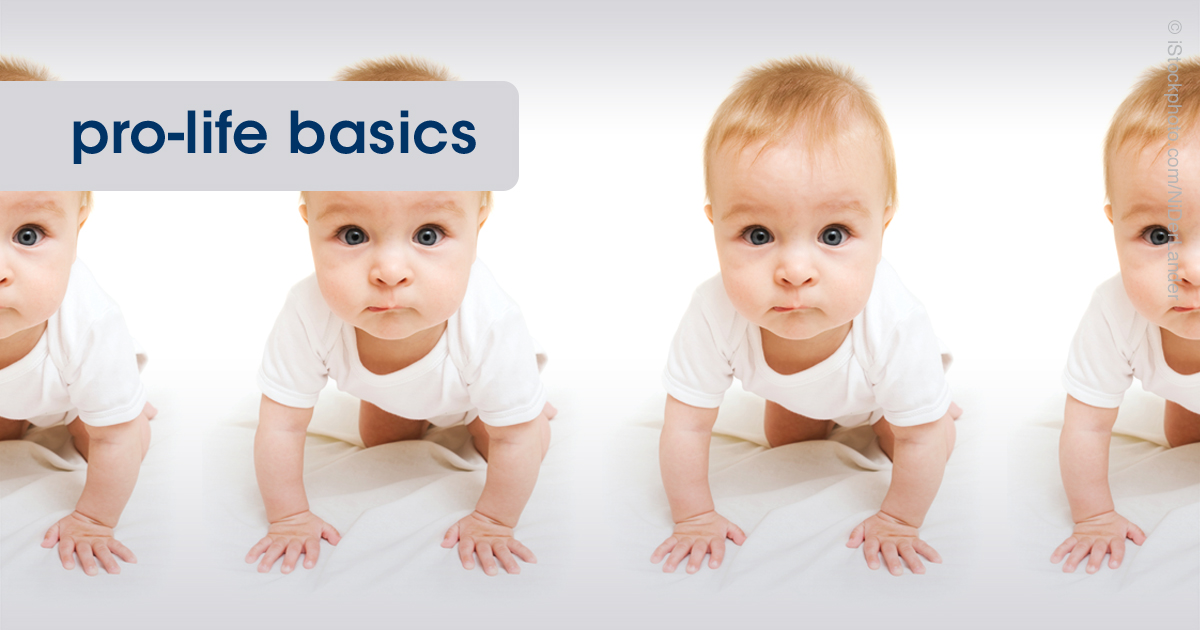 PRO-LIFE BASICS: What’s the difference between “therapeutic cloning ... PRO-LIFE BASICS: What’s the difference between “therapeutic cloning ...