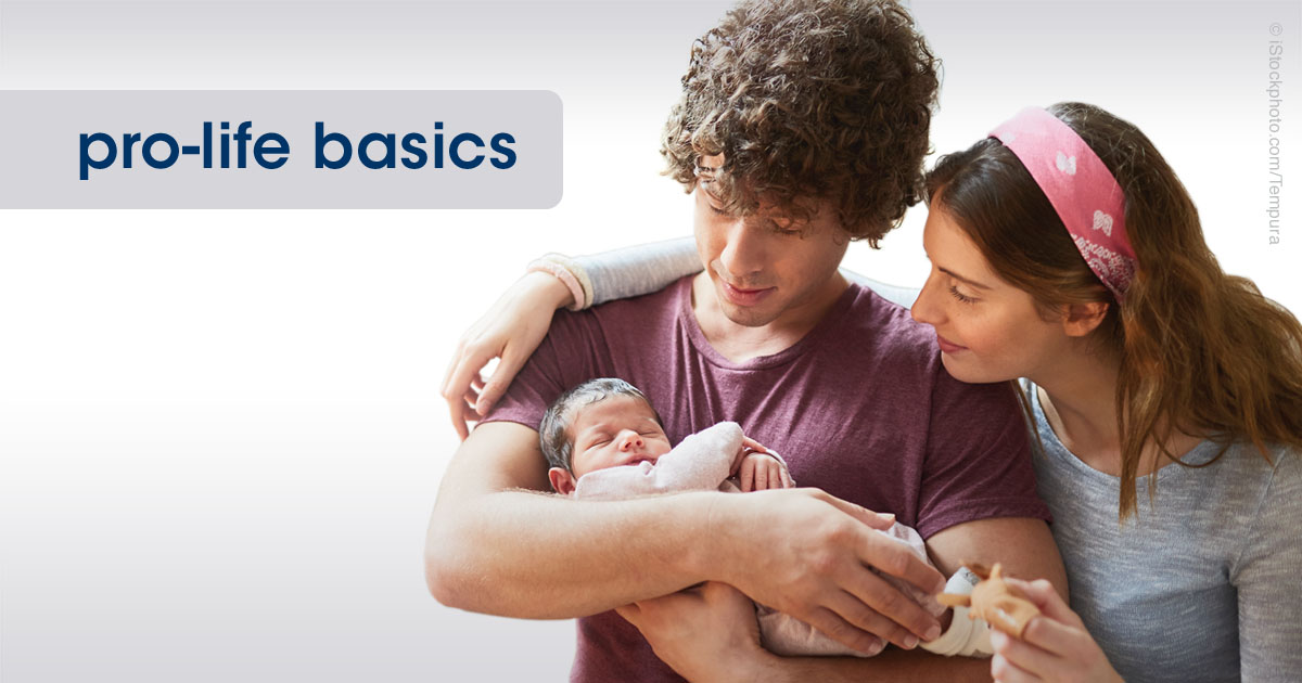 PRO-LIFE BASICS: The urgency of Humanae Vitae for the Pro-Life Movement ...