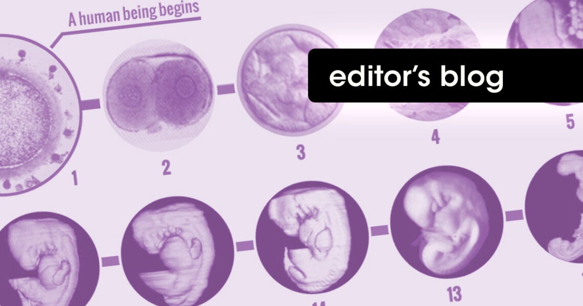 Embryology Standards Teach the Truth about the Preborn Baby - Celebrate ...