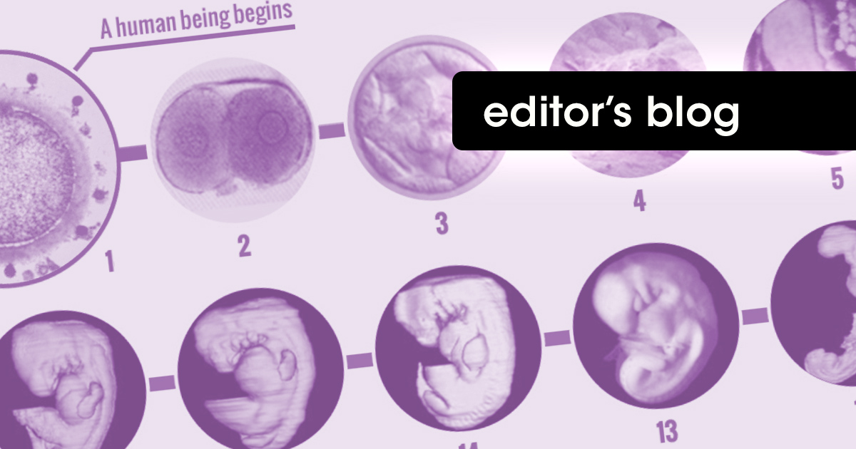 Embryology Standards Teach the Truth about the Preborn Baby - Celebrate ...